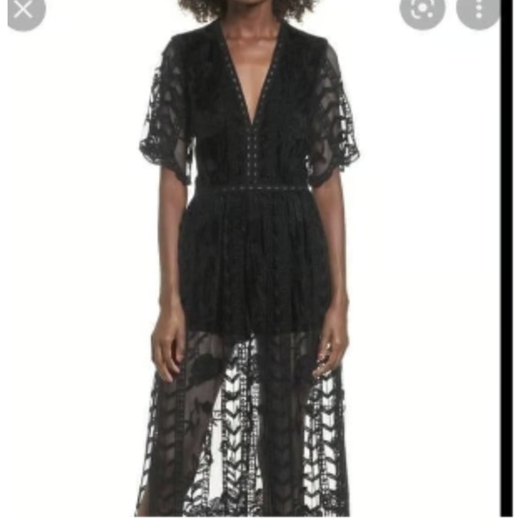 Socialite | Dresses | Tall Dress Beautiful Socialite Sheer Embroidered ...